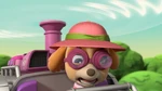 Skye/Gallery/Pups Save a Flamingo Dancer | PAW Patrol Wiki | Fandom