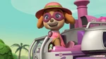 Skye/Gallery/Pups Save a Flamingo Dancer | PAW Patrol Wiki | Fandom