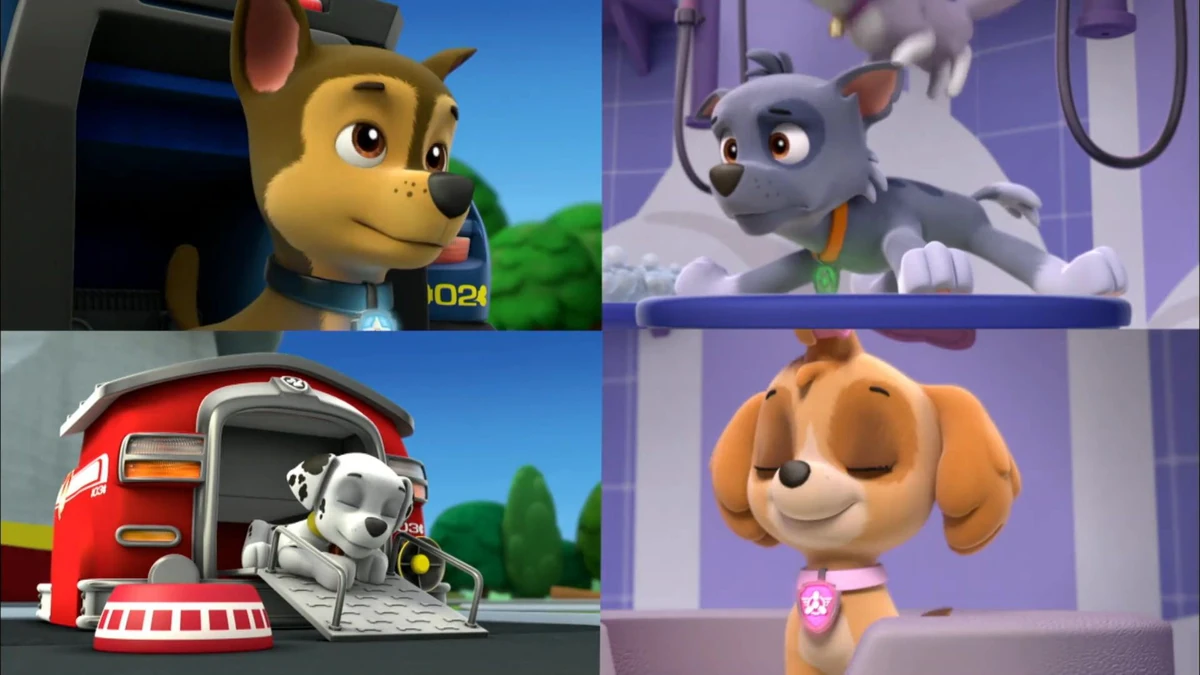 Marshall/Gallery/Pups Make a Splash | PAW Patrol Wiki | Fandom