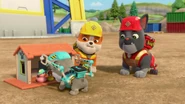 Motor | PAW Patrol Wiki | Fandom