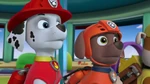 Zuma/Gallery/Pups Fall Festival | PAW Patrol Wiki | Fandom