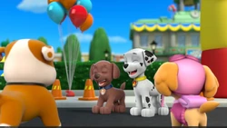 Pups Great Race/Trivia | PAW Patrol Wiki | Fandom
