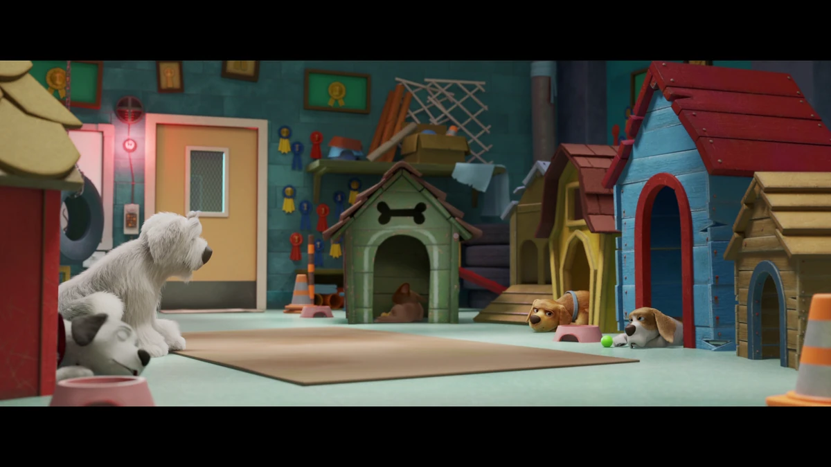 Fuzzy Buddies Obedience School/Appearances | PAW Patrol Wiki | Fandom