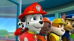 Pups Save a Bat/Gallery | PAW Patrol Wiki | Fandom
