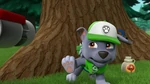 Rocky/Gallery/Pups Save Breakfast | PAW Patrol Wiki | Fandom