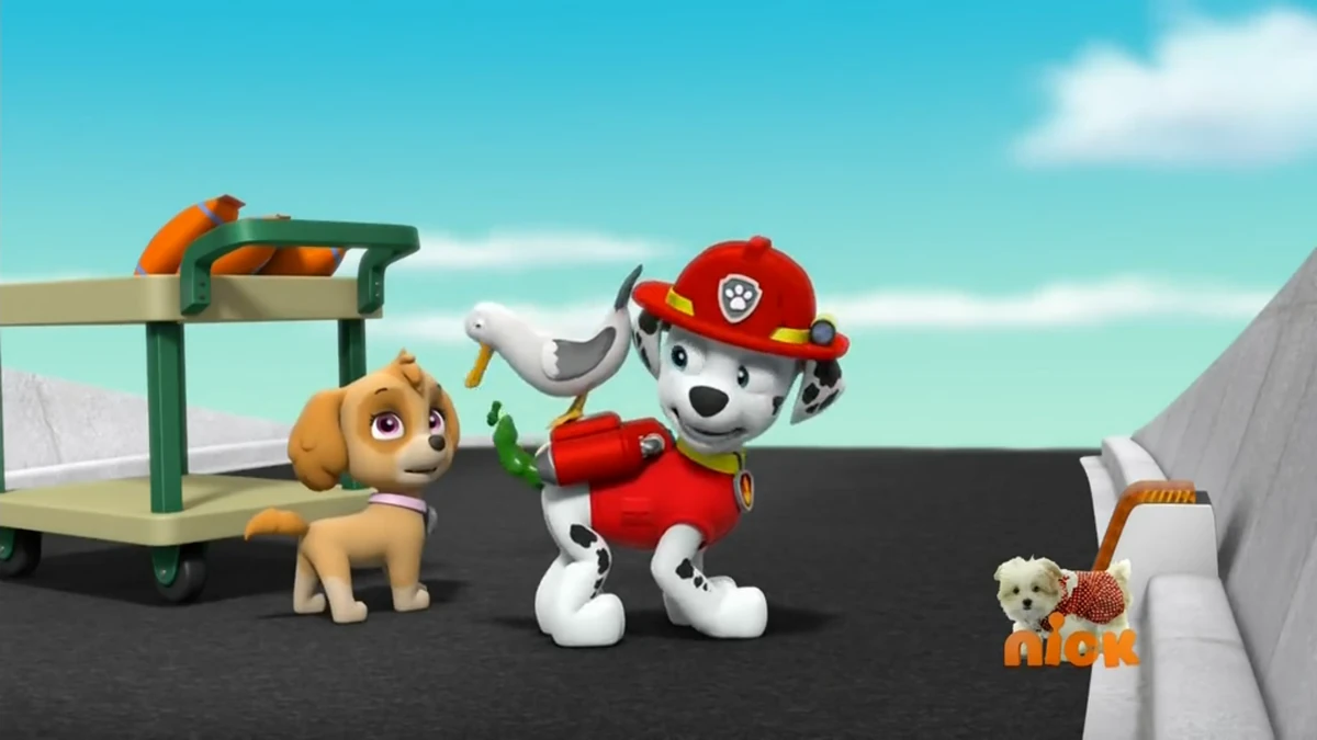 Seagulls/Gallery/Pups Save Walinda | PAW Patrol Wiki | Fandom
