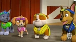 Skye/Gallery/Pup-Fu! | PAW Patrol Wiki | Fandom