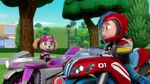 Skye/Gallery/Moto Pups: Pups vs. the Ruff-Ruff Pack | PAW Patrol Wiki ...