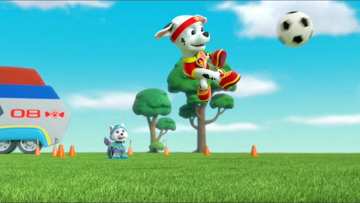 Marshall/Gallery/All Star Pups! | PAW Patrol Wiki | Fandom