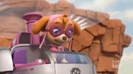 Skye/Gallery/Pups Save the Dizzy Dust Express | PAW Patrol Wiki | Fandom