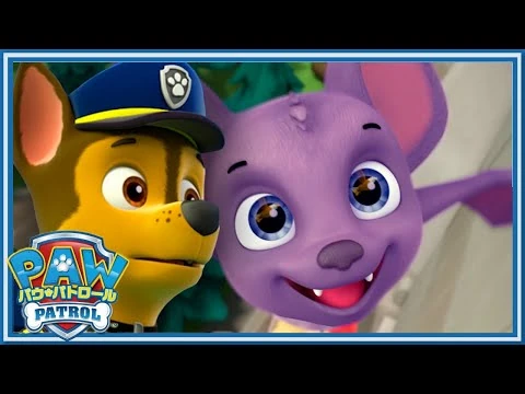 Pups Save a Bat/Videos | PAW Patrol Wiki | Fandom