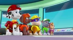 Zuma/Gallery/Pups Save Jake | PAW Patrol Wiki | Fandom