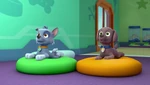 Zuma/Gallery/Pups Save a Lost Tooth | PAW Patrol Wiki | Fandom
