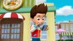 Pups Save Jake's Cake/Gallery | PAW Patrol Wiki | Fandom