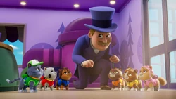 Pups Save a Pet Show/Trivia | PAW Patrol Wiki | Fandom