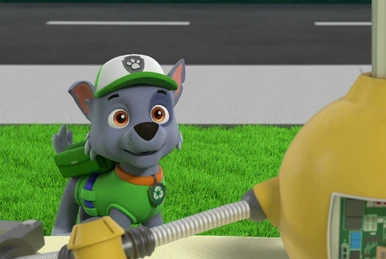 Patrulha Canina Devan Cohen