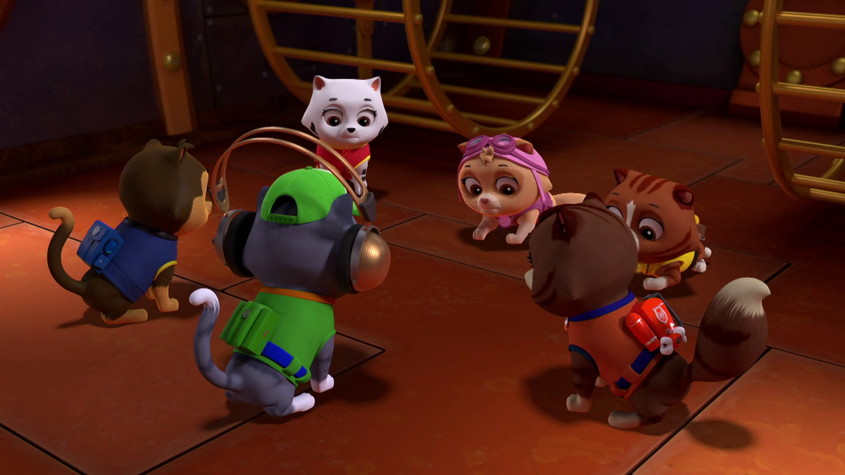 Cat Zumagalleryaqua Pups Pups Save A Merdinger Paw Patrol Wiki