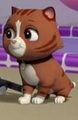 Cat Rubble | PAW Patrol Wiki | Fandom