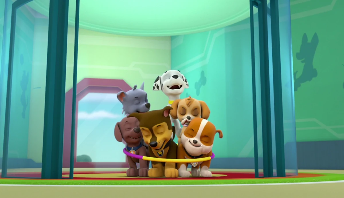 Zuma/Gallery/Pups Save the Cat Show | PAW Patrol Wiki | Fandom