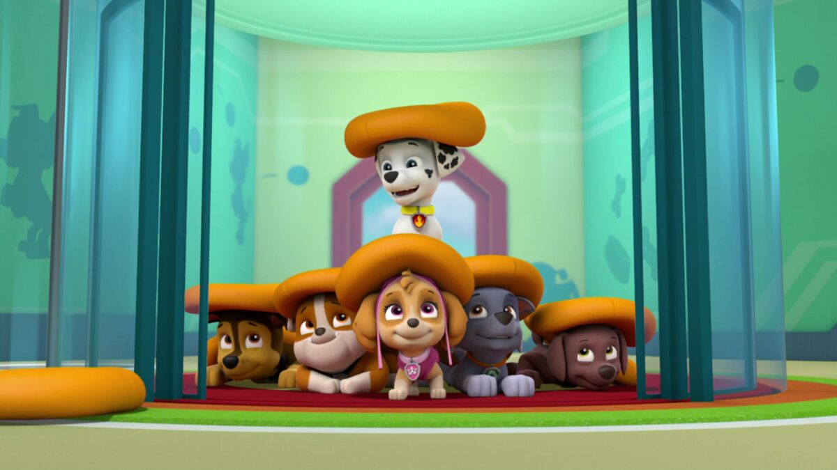 Chase Gallery Pups Save Chickalettas Egg Paw Patrol Wiki Fandom
