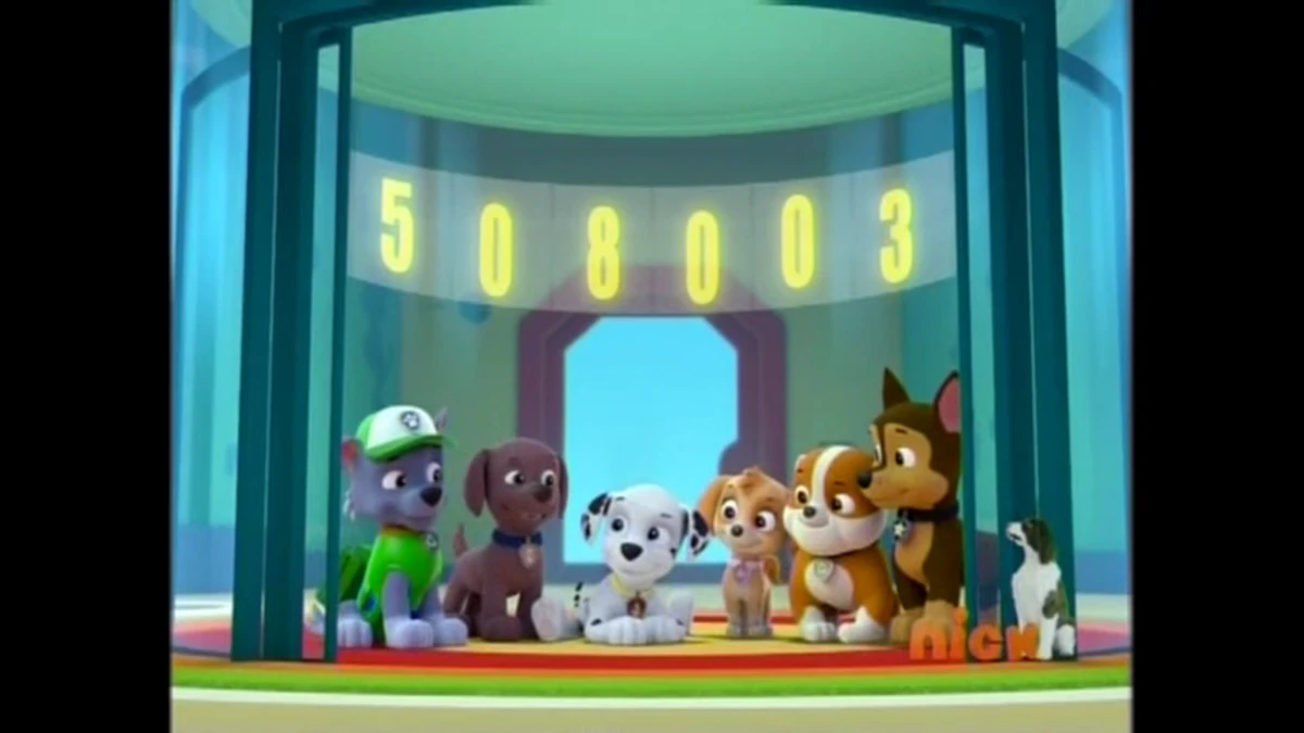 Zuma/Gallery/Pups and the Mischievous Kittens | PAW Patrol Wiki | Fandom