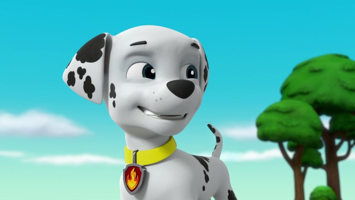 Marshallgallerypups Save A Roo Paw Patrol Wiki Fandom