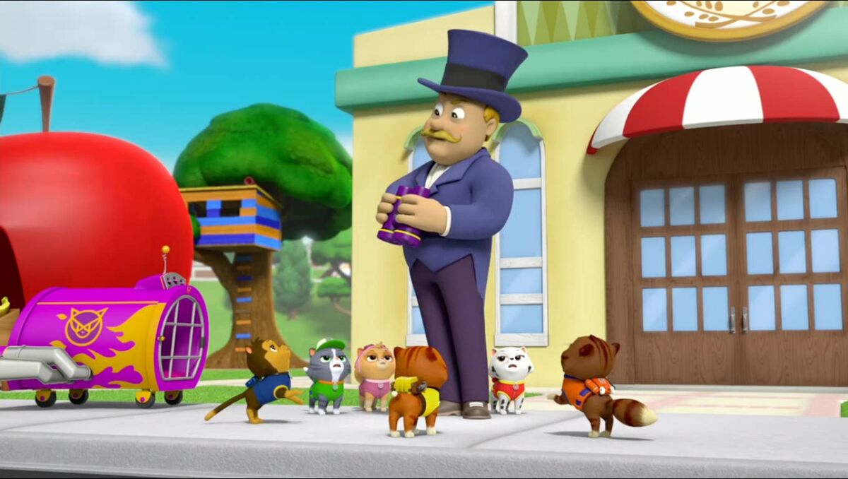 Cat Chasegallerypups Chill Out Paw Patrol Wiki Fandom