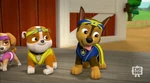 Skye/Gallery/Pup-Fu! | PAW Patrol Wiki | Fandom