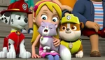 Pups Save the Cat Show/Gallery | PAW Patrol Wiki | Fandom