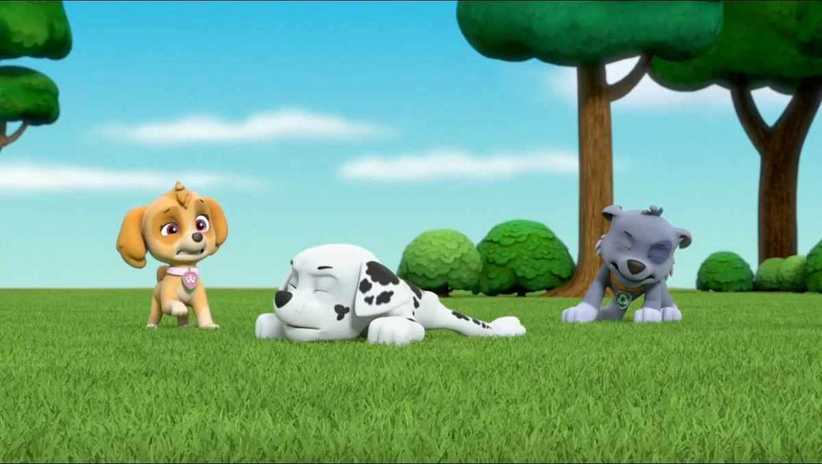 Marshall/Gallery/Pups Save the Runaway Turtles | PAW Patrol Wiki | Fandom