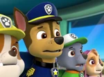 Chase/Gallery/Pups Save Ryder | PAW Patrol Wiki | Fandom