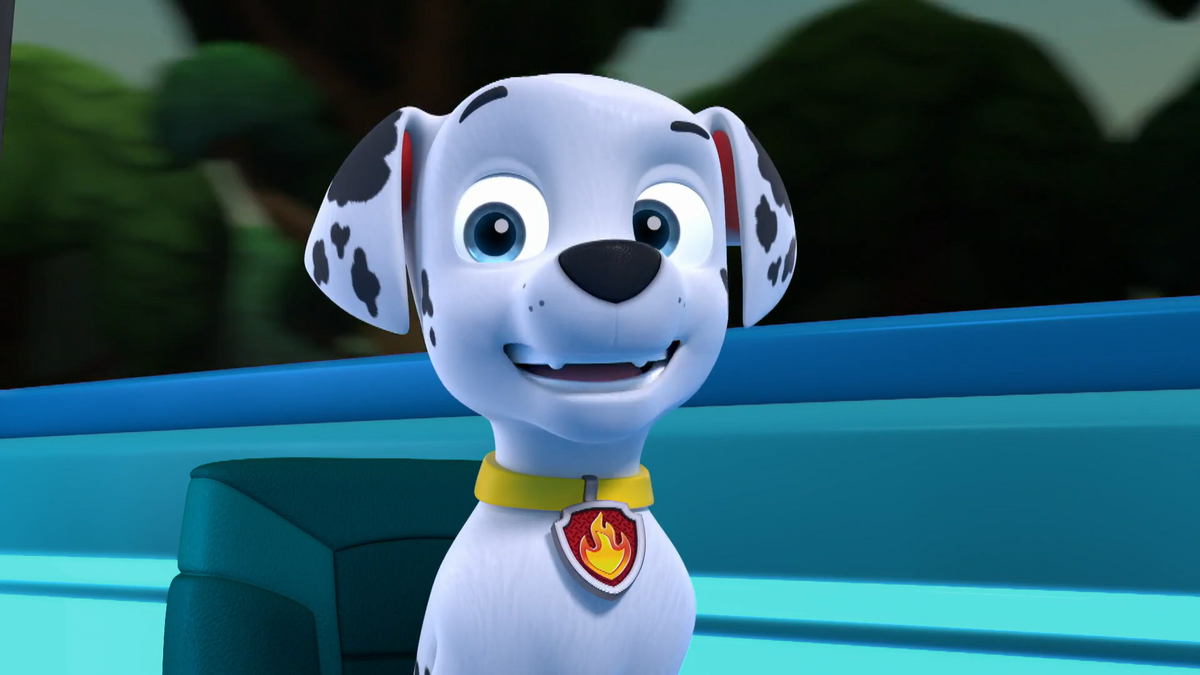 Marshallgalleryjungle Pups Pups Find A Hidden Jungle Paw Patrol