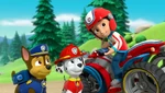 Pups Save Jake's Cake/Gallery | PAW Patrol Wiki | Fandom