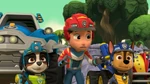 Chase/Gallery/Dino Rescue: Pups Save a T-Rex Tyke | PAW Patrol Wiki ...
