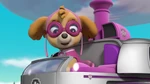 Skye/Gallery/Pups Save a Roo | PAW Patrol Wiki | Fandom