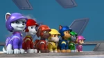 Roxi/Gallery/Rescue Wheels: Pups Save the Runaway Truck | PAW Patrol ...