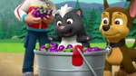 Skunk/Gallery | PAW Patrol Wiki | Fandom