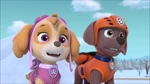 Skye/Gallery/Pups Save Great Uncle Smiley's Cup | PAW Patrol Wiki | Fandom