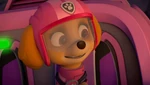 Skye/Gallery/Ultimate Rescue: Pups Save the Tigers | PAW Patrol Wiki ...