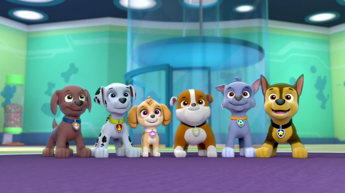 Rubble/Gallery/Pup a Doodle Do | PAW Patrol Wiki | Fandom