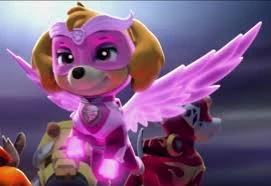 Skye | PAW Patrol Wiki | Fandom