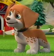Wheeler | PAW Patrol Wiki | Fandom