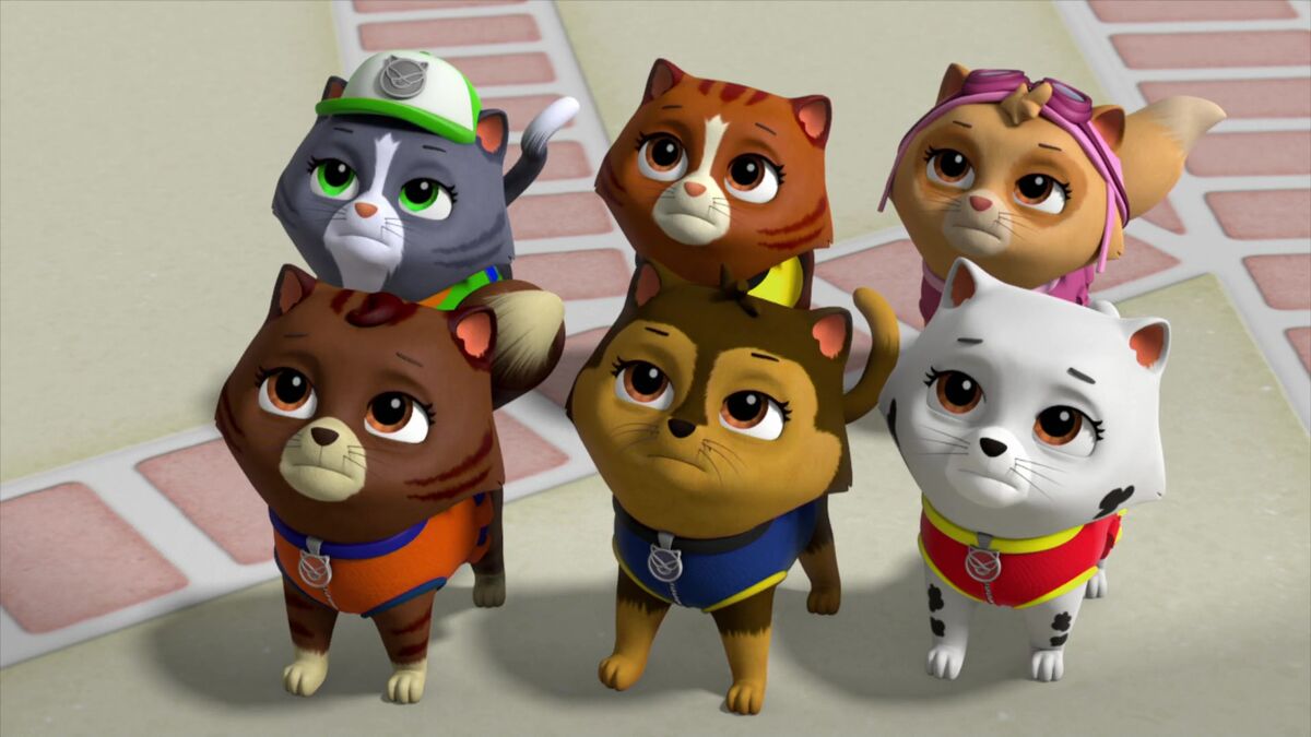 Cat Zuma/Gallery/Pups Stop a Pie-Clone | PAW Patrol Wiki | Fandom