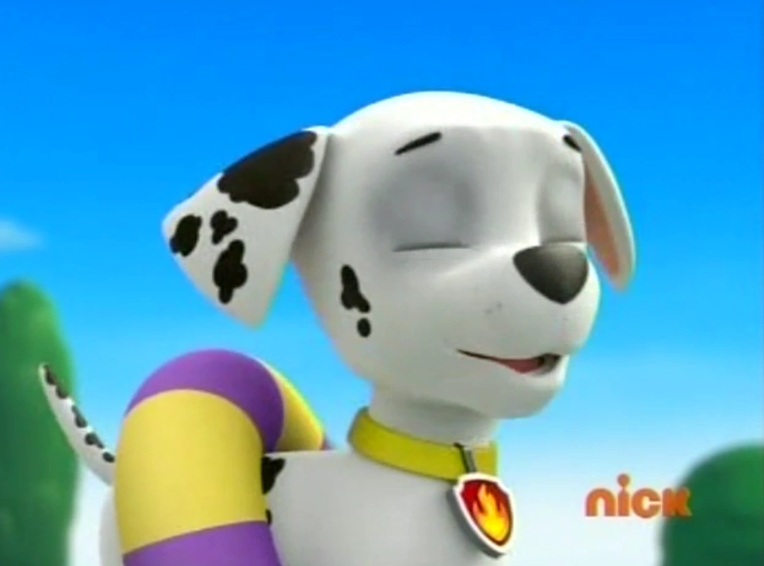 Marshall/Gallery/Pups Save a Pool Day | PAW Patrol Wiki | Fandom