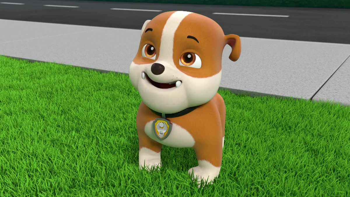 Rubble/Gallery/Pups Save a Runaway Rooster | PAW Patrol Wiki | Fandom
