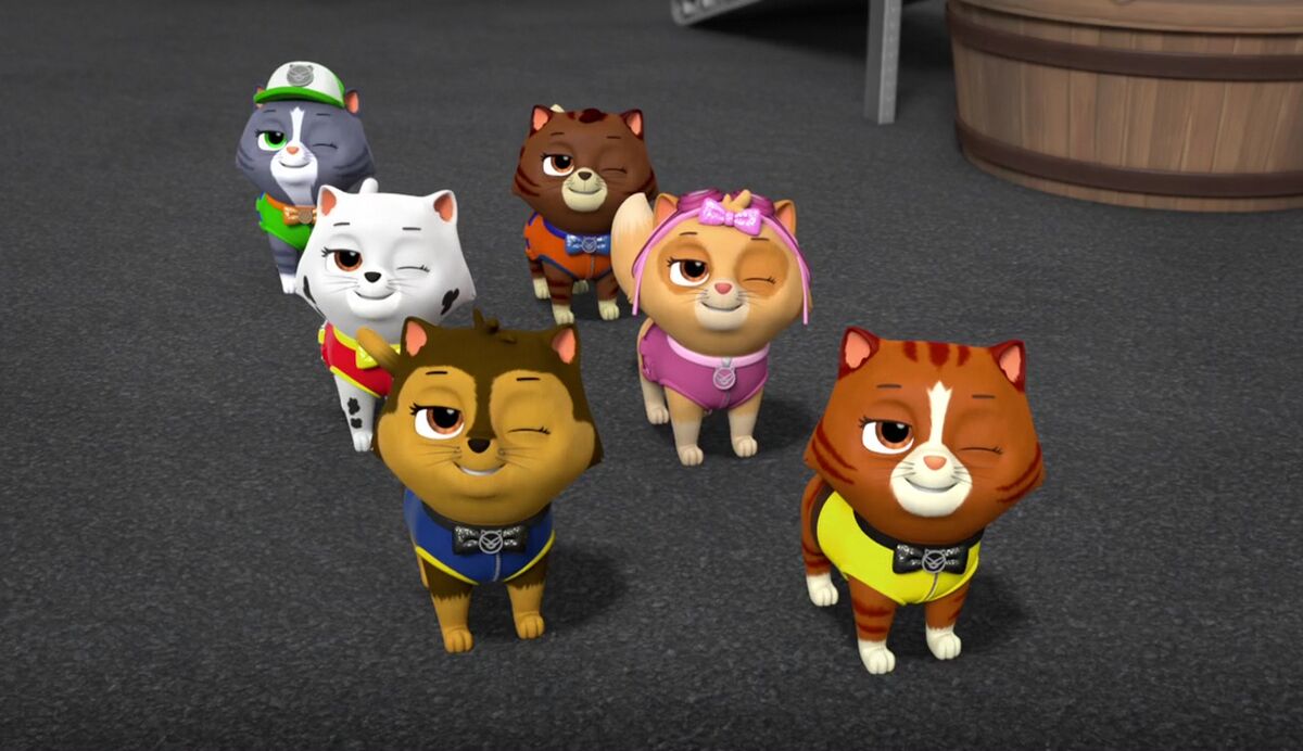 Cat Zuma/Gallery/Pups Save the Cat Show | PAW Patrol Wiki | Fandom