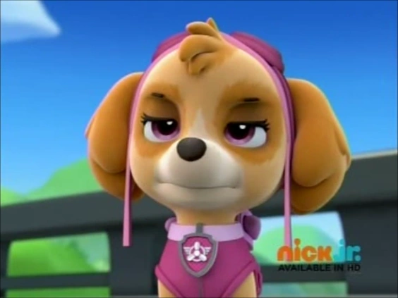 Skye/Gallery/Pups Pit Crew | PAW Patrol Wiki | Fandom