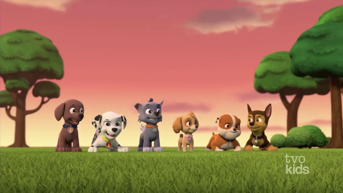 Rocky/Gallery/Pups Save the Phantom of the Frog Pond | PAW Patrol Wiki ...