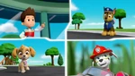 Pups Save Tiny Marshall/Gallery | PAW Patrol Wiki | Fandom
