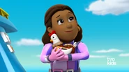 Chickaletta | PAW Patrol Wiki | Fandom